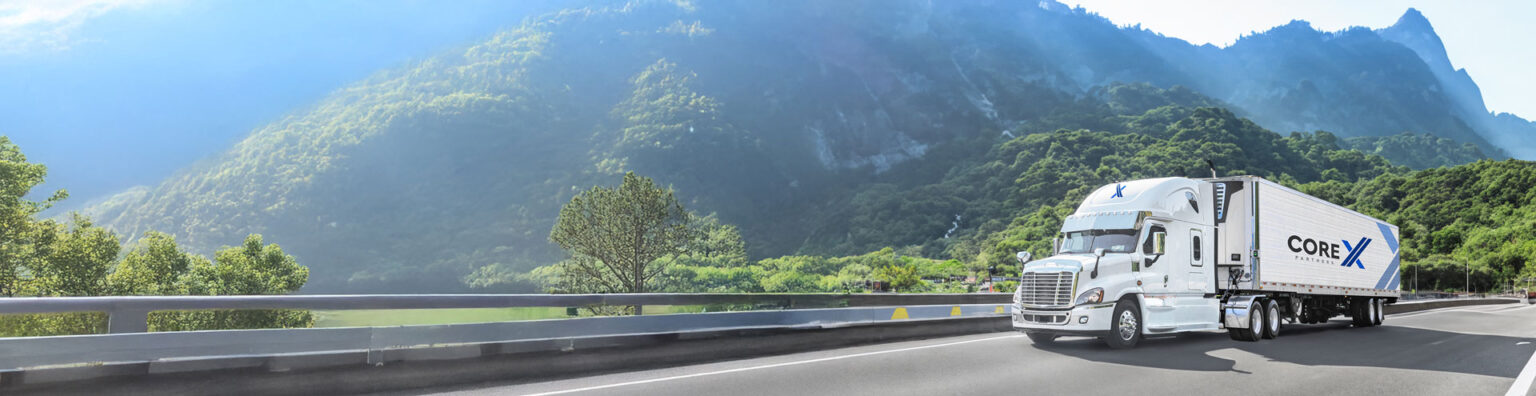 CORE X Partners | National Cold Chain Logistics Network